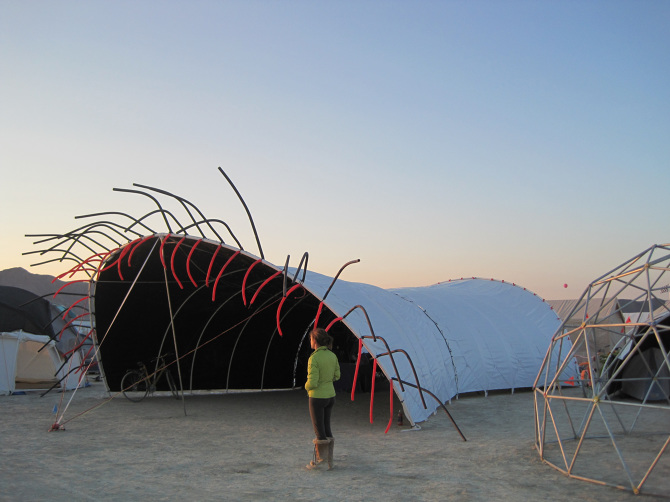 Clam design - TDC clam project