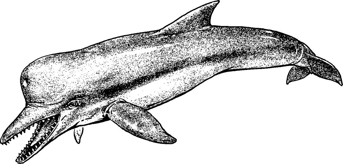 Gallop to the Sea. Whale ansectors - The Art of Eldar Zakirov